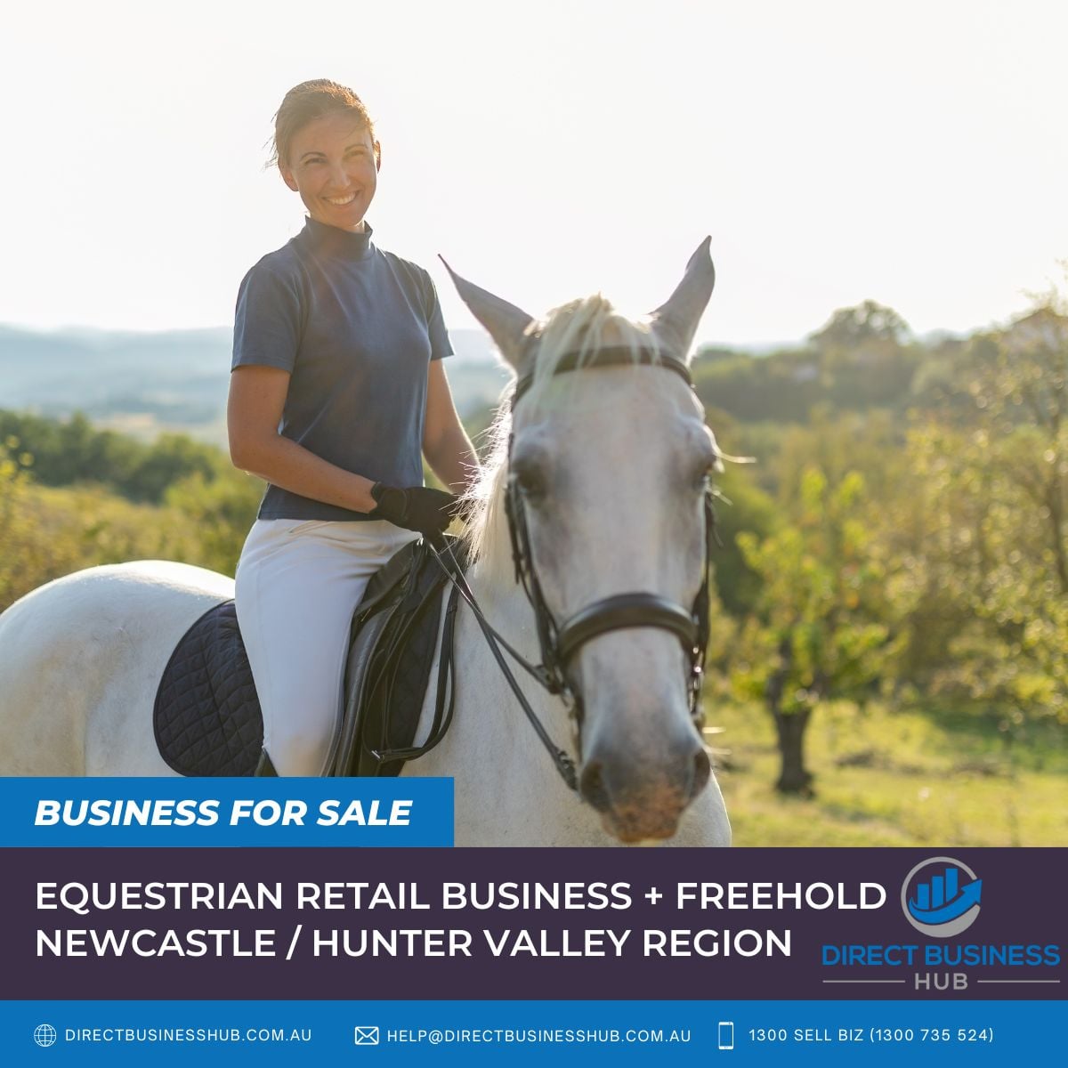The equestrian dream - longstanding saddlery retail business ...